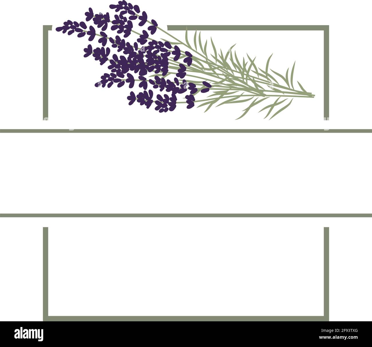 lavender vector frame Stock Vector Image & Art - Alamy