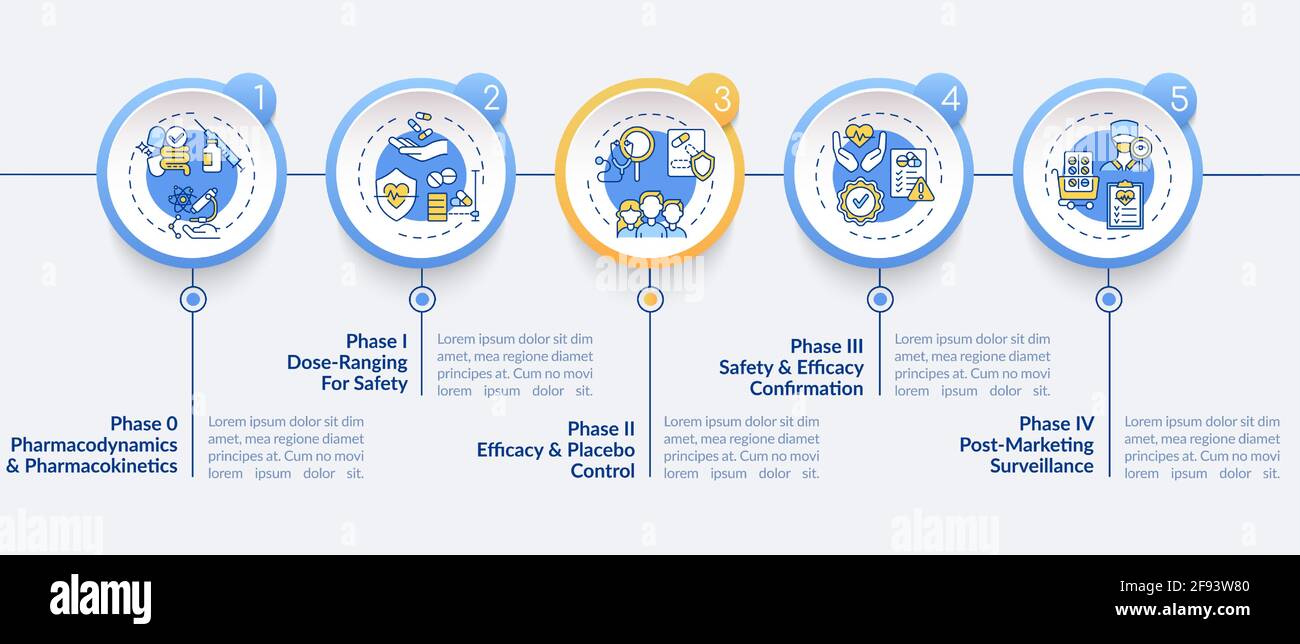 Clinical study phases vector infographic template Stock Vector Image ...