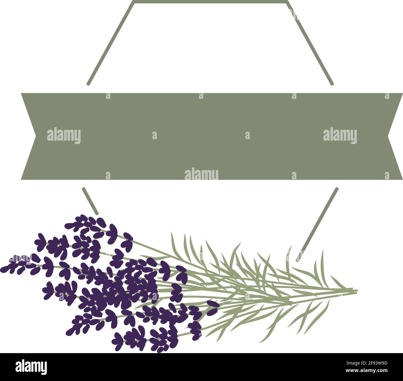 Lavender plant vector vectors hi-res stock photography and images - Alamy