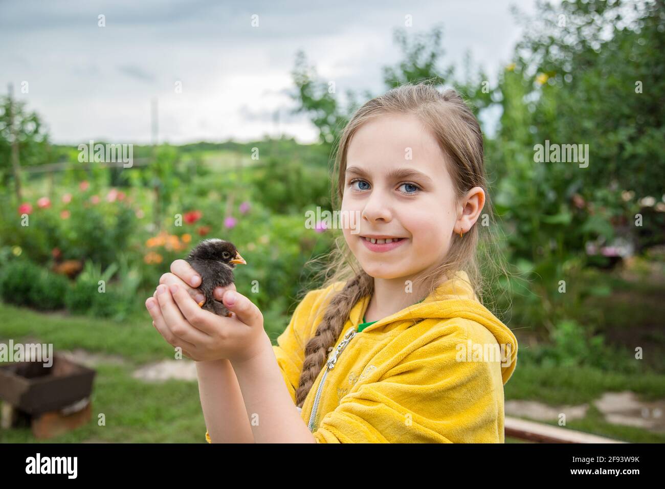 Little girl with a spring chicken on a farm Stock Photo - Alamy