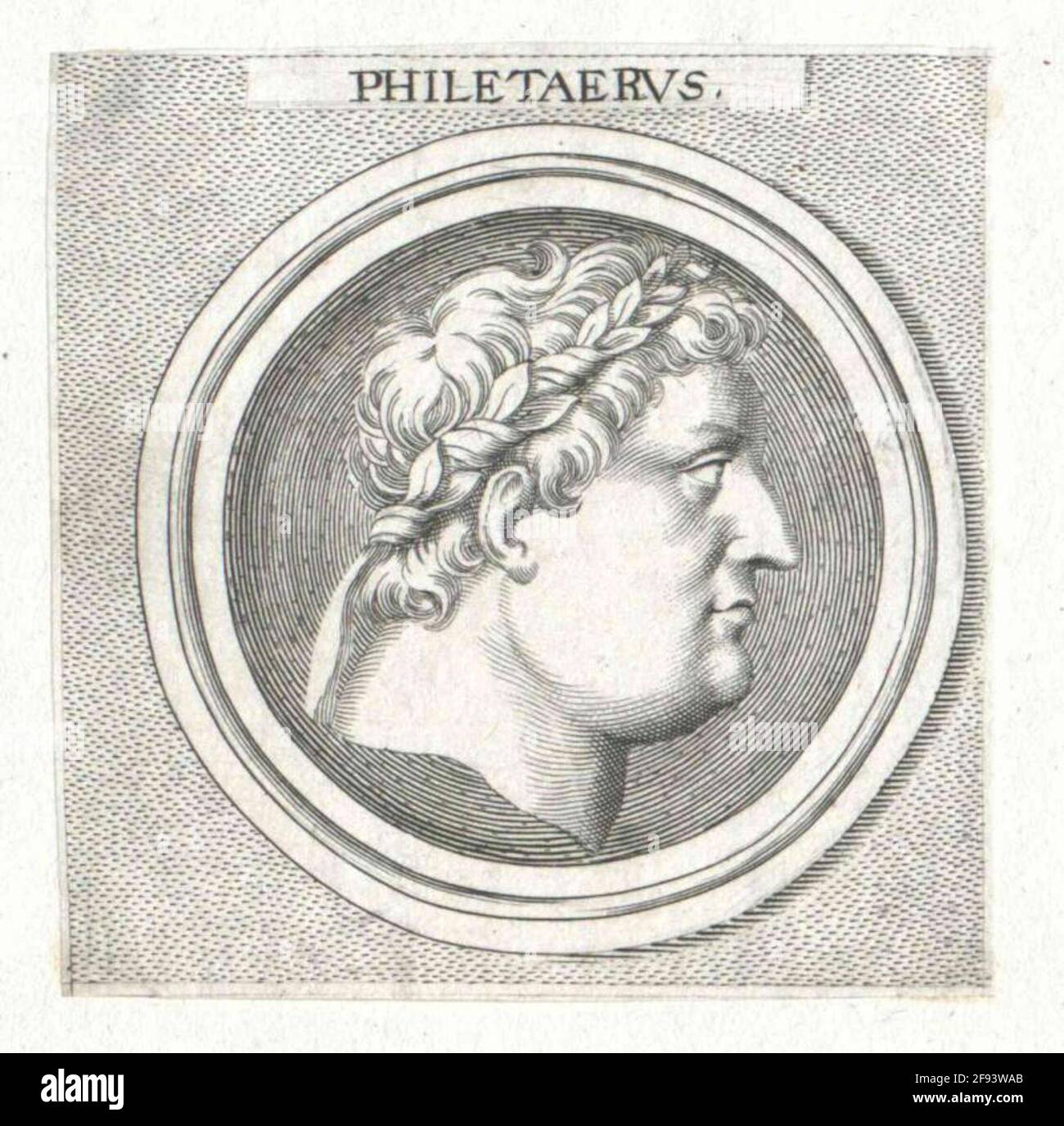 Philetairos hi-res stock photography and images - Alamy