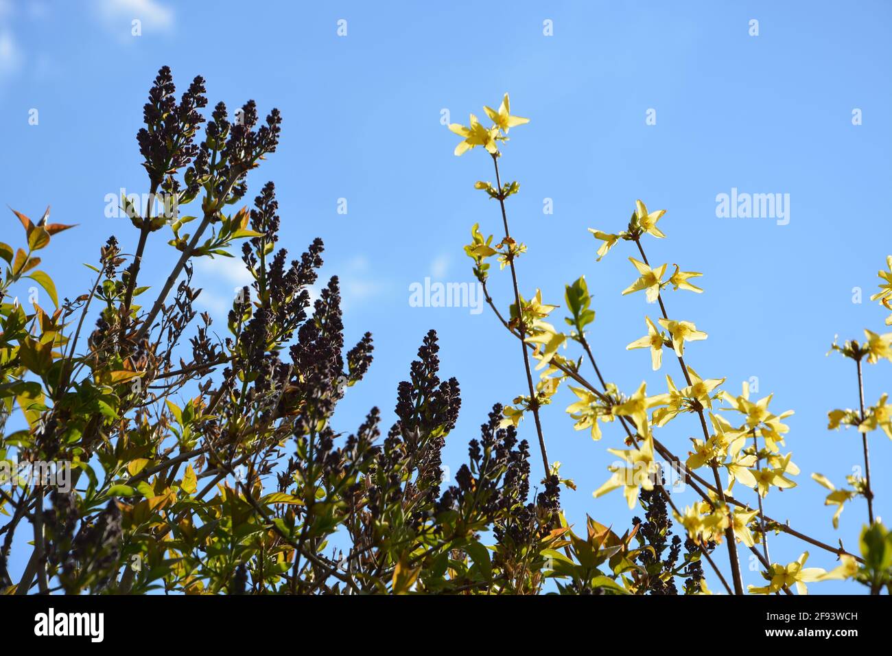 High resolution photo series hi-res stock photography and images - Alamy