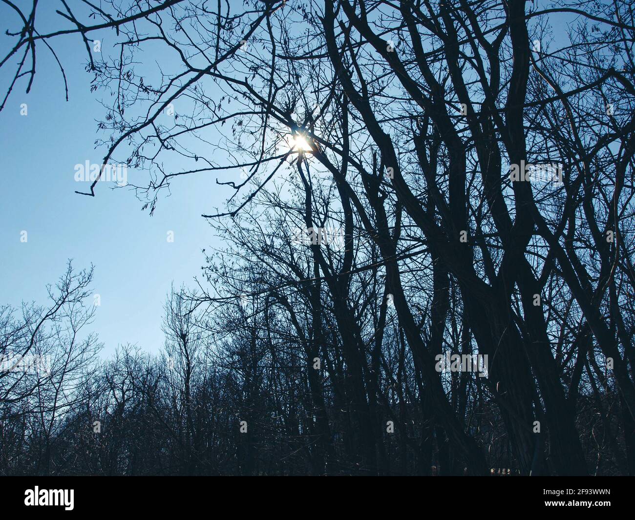 Sun and Shadows in Blue Stock Photo - Alamy