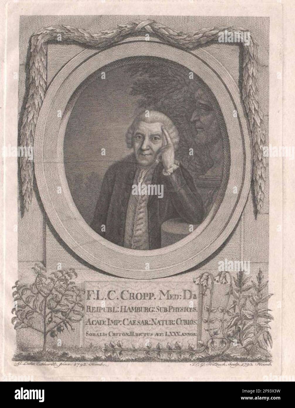 Cropp hi-res stock photography and images - Alamy