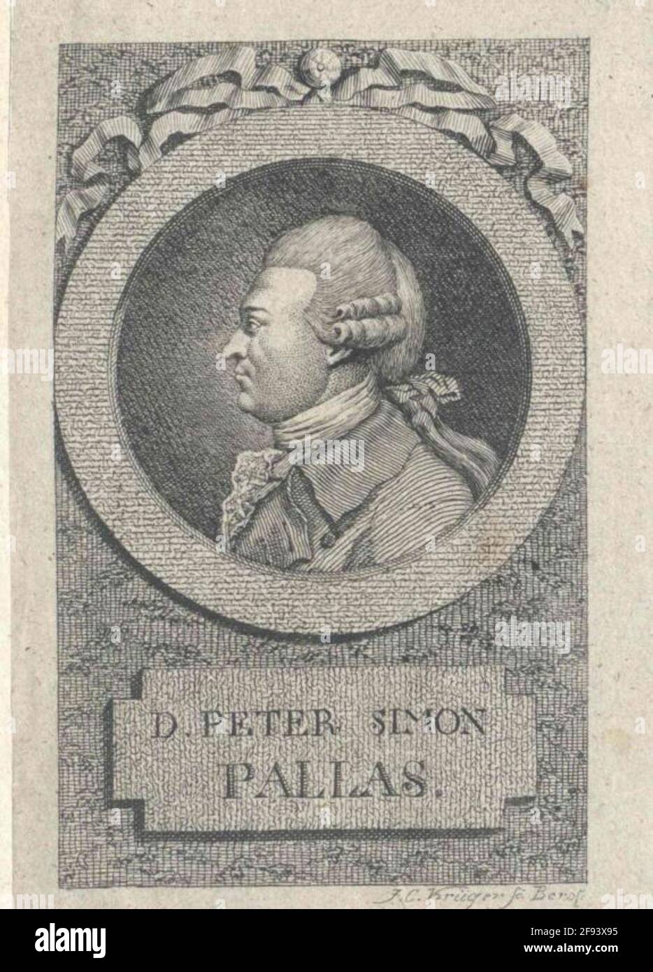 Pallas, Peter Simon Eraser: Kruger, Johann Conraddatierung: 1780 ...