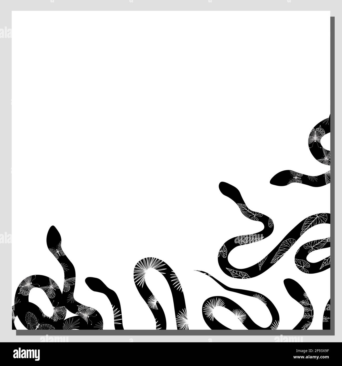Snake. The background is white with black snakes. Frame. Exotic ...