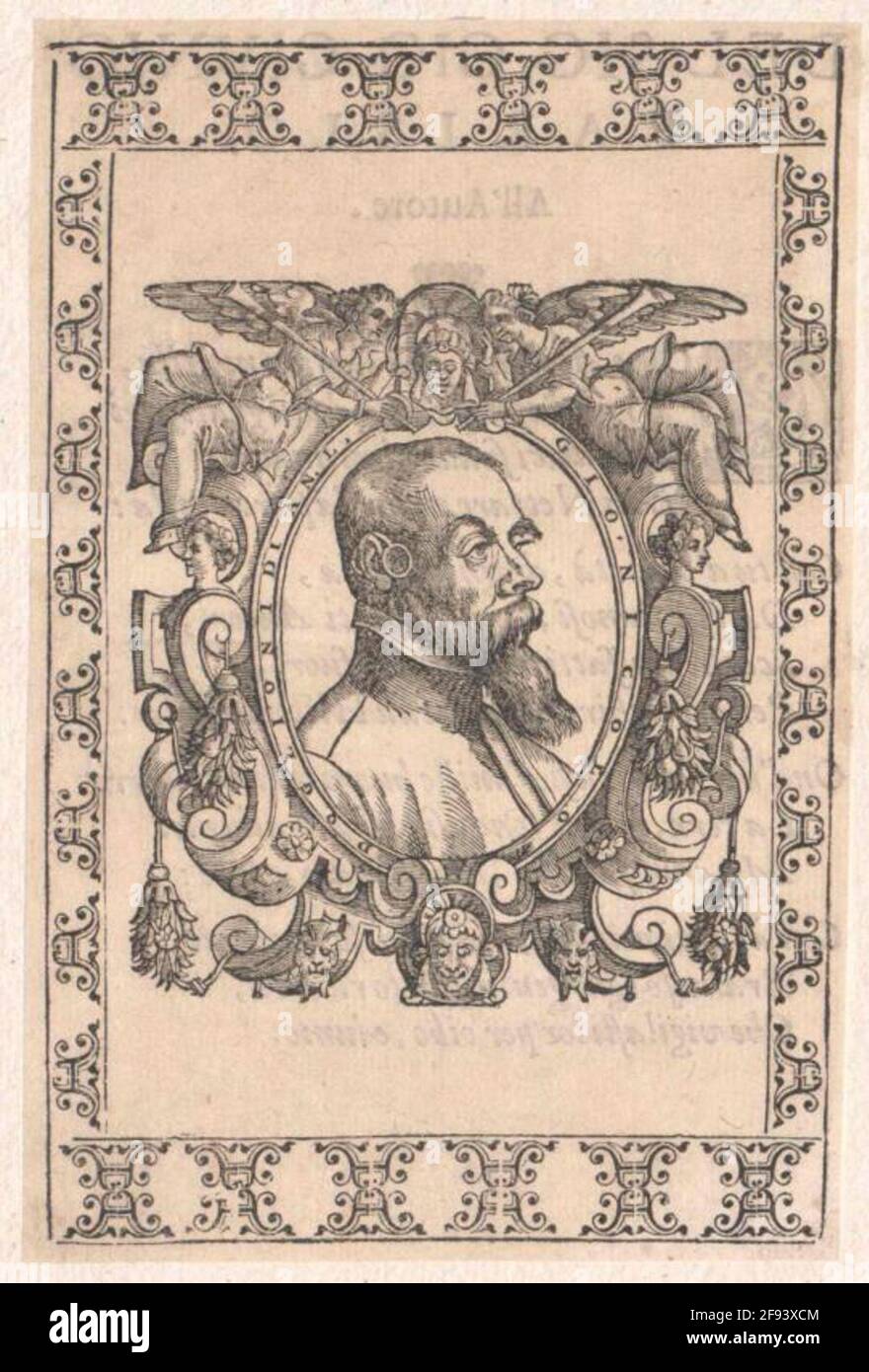 Dogli hi-res stock photography and images - Alamy