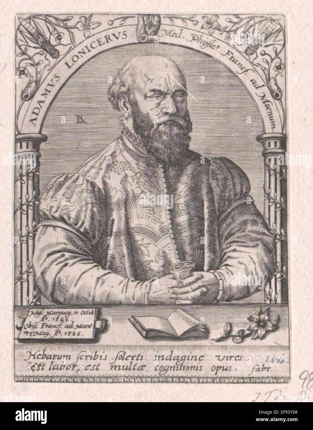 Adam becker hi-res stock photography and images - Alamy