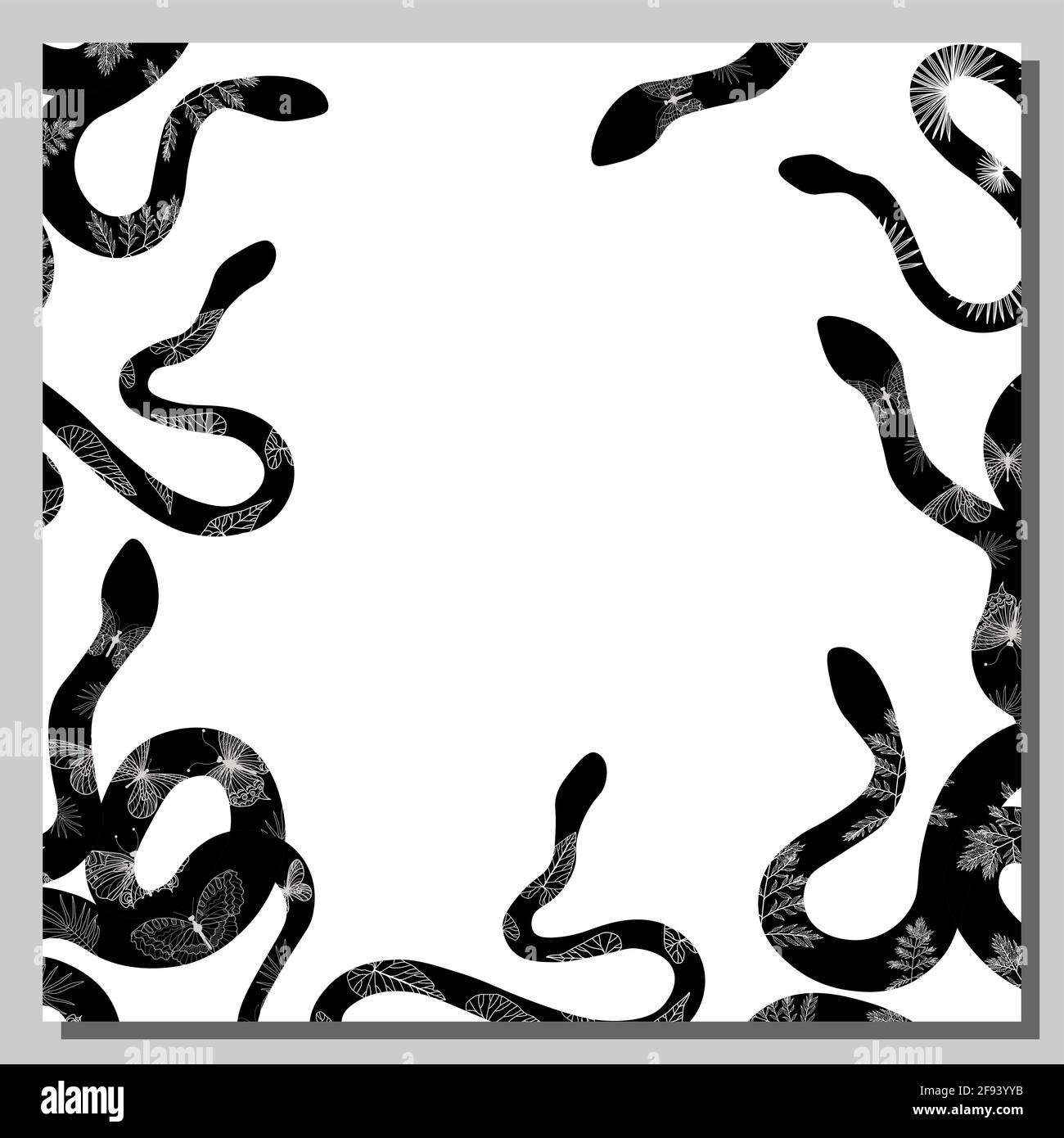Snake. The background is white with black snakes. Frame. Exotic ...