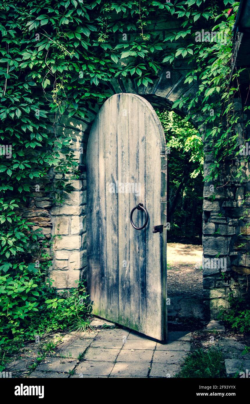 Old open wooden gate in the medieval stone castle wall, covered by ivy ...