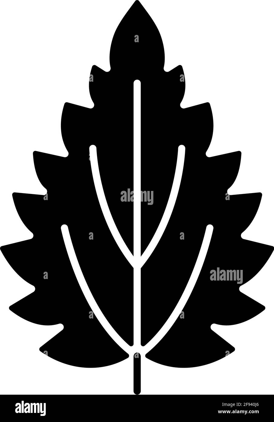 Nettle medicinal plant Stock Vector Images - Alamy