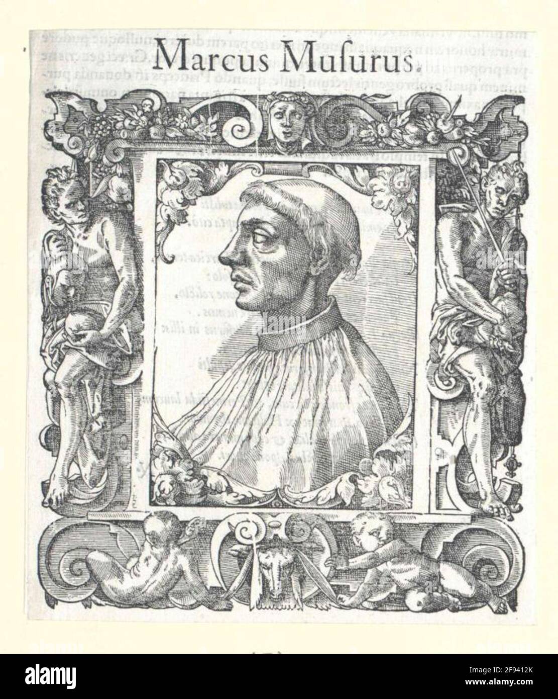 Mususus hi-res stock photography and images - Alamy