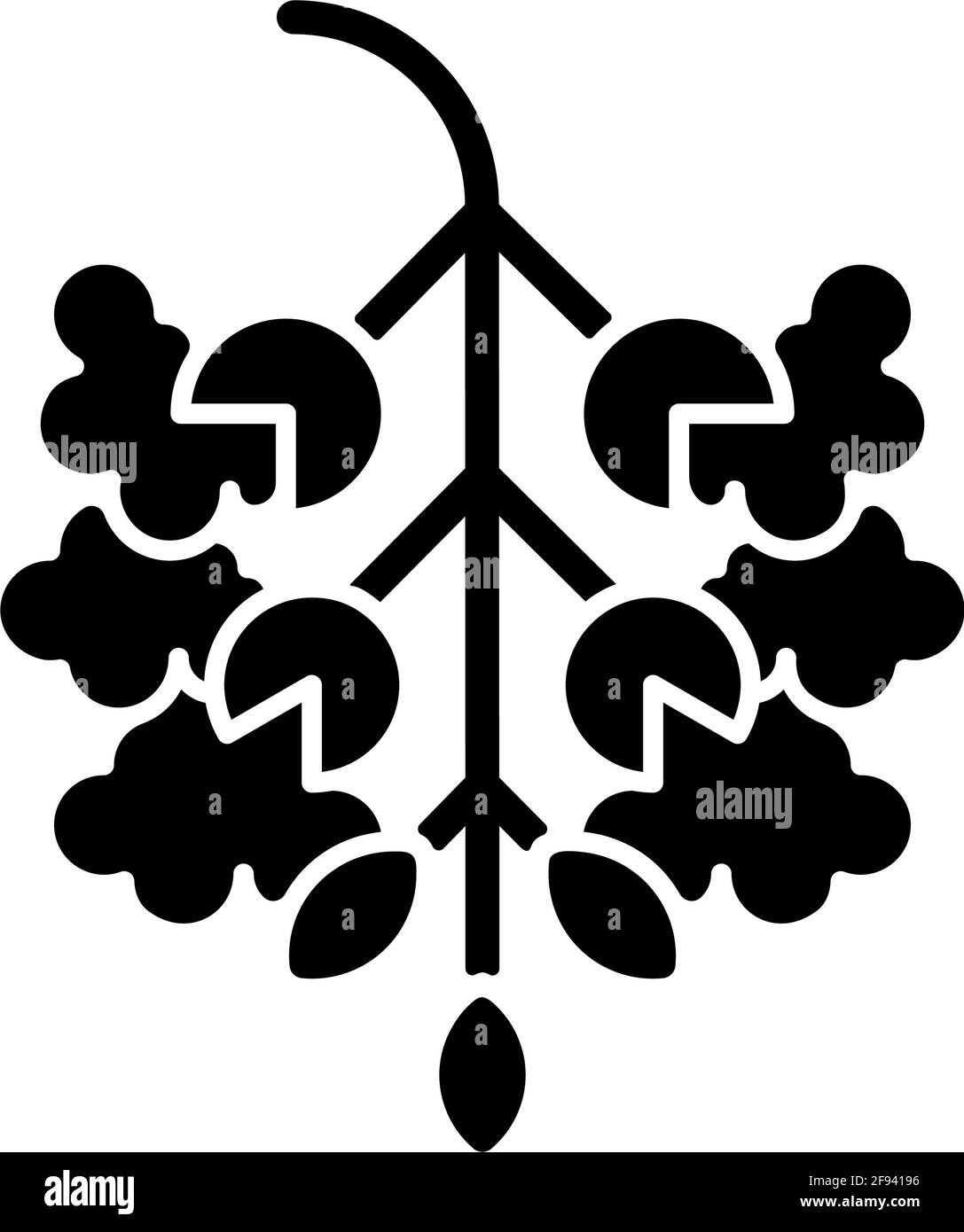 Poplar tree pollen Black and White Stock Photos & Images - Alamy