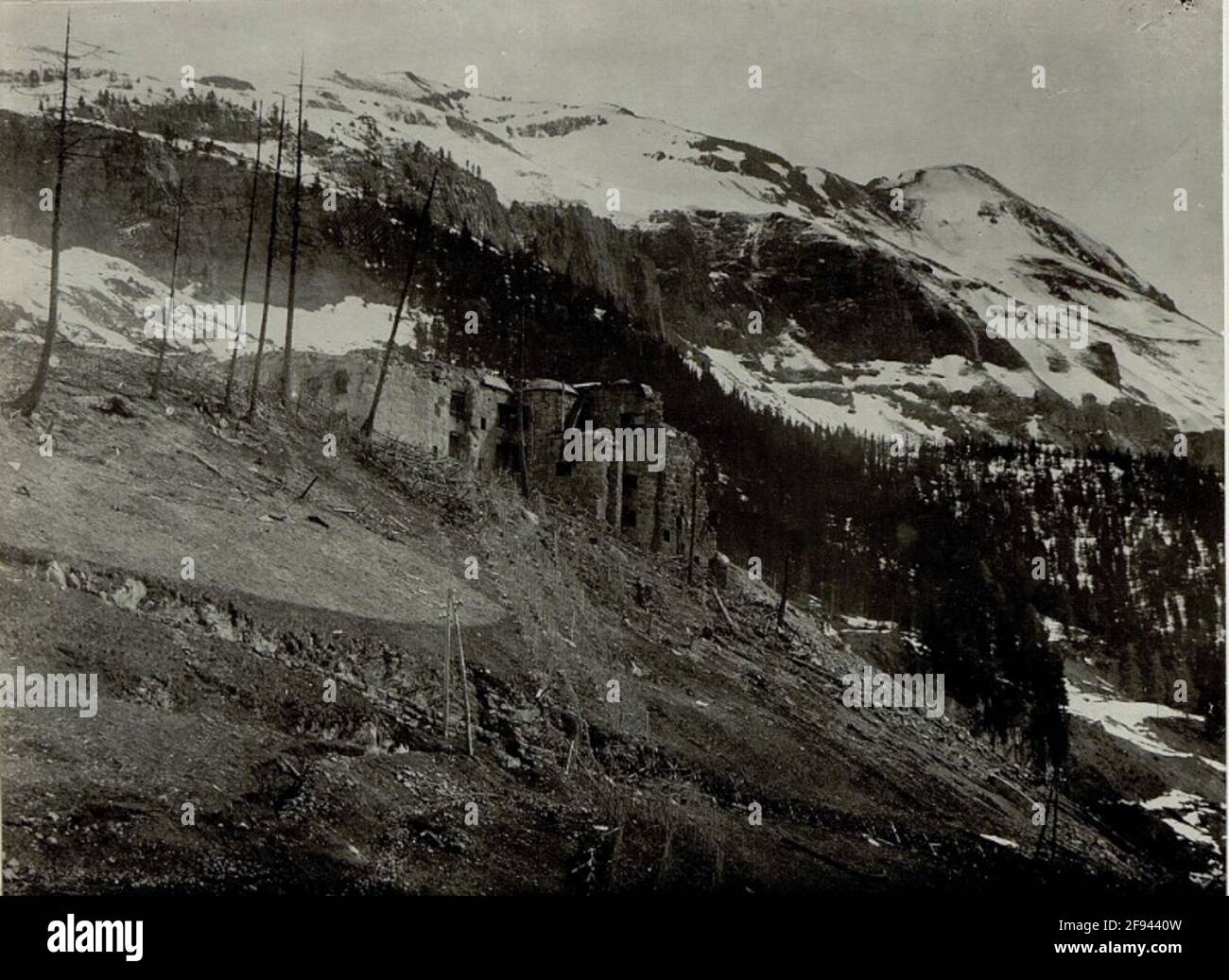 Kehlan hi-res stock photography and images - Alamy