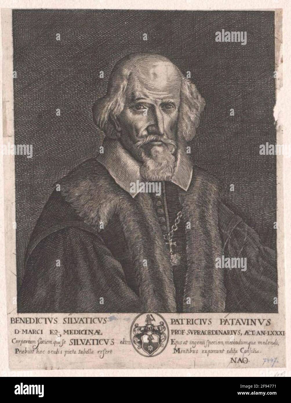 Silvaticus, Benedetto Stock Photo - Alamy