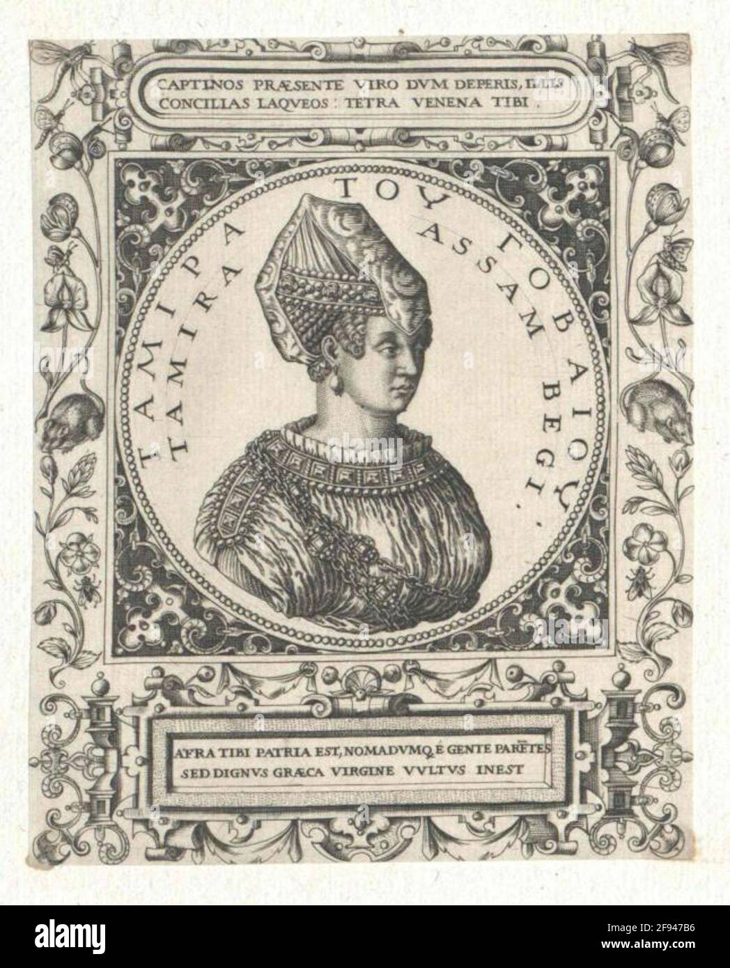 Tamira hi-res stock photography and images - Alamy