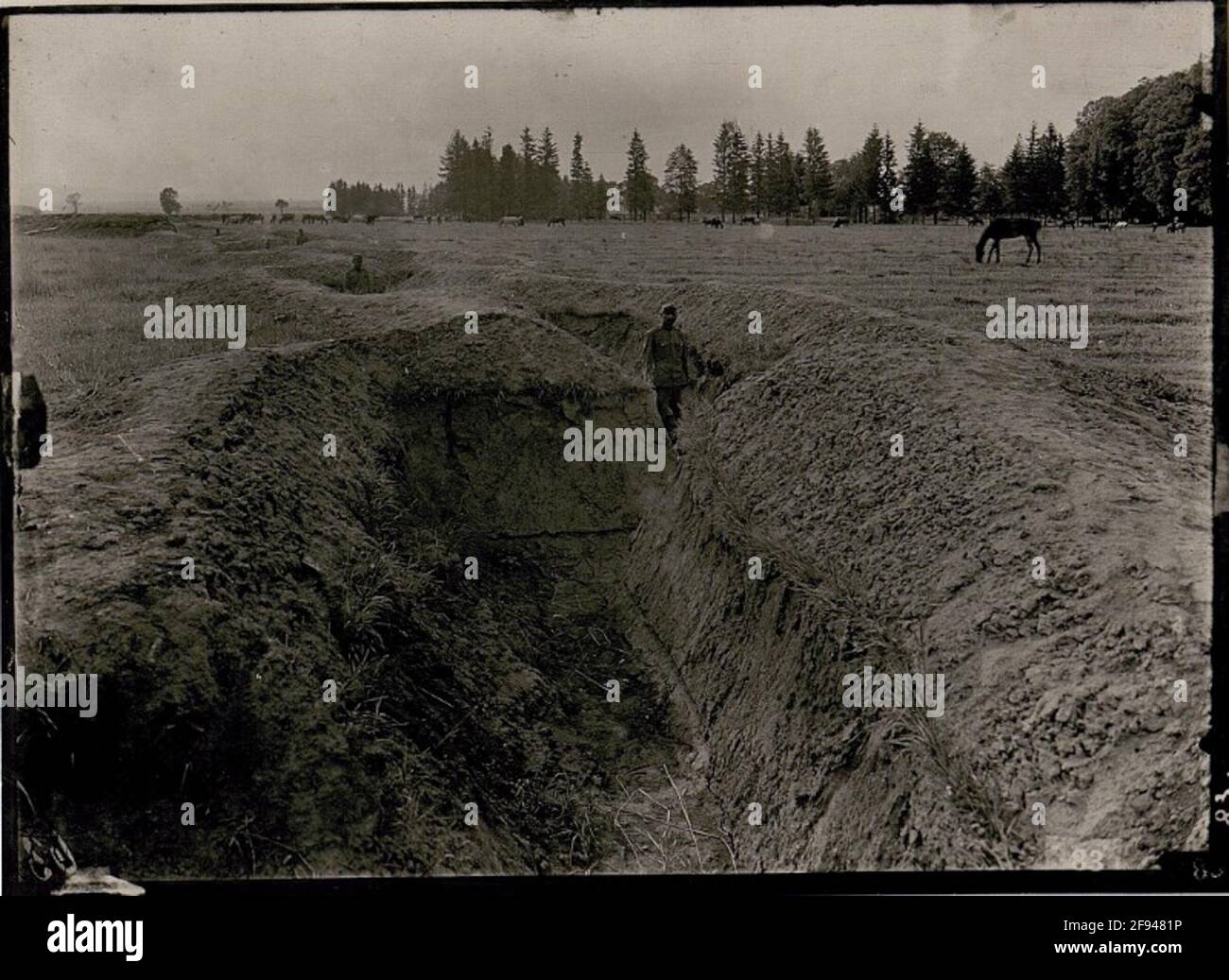 Prepared Russian position at Stryj (connecting lines Stock Photo - Alamy