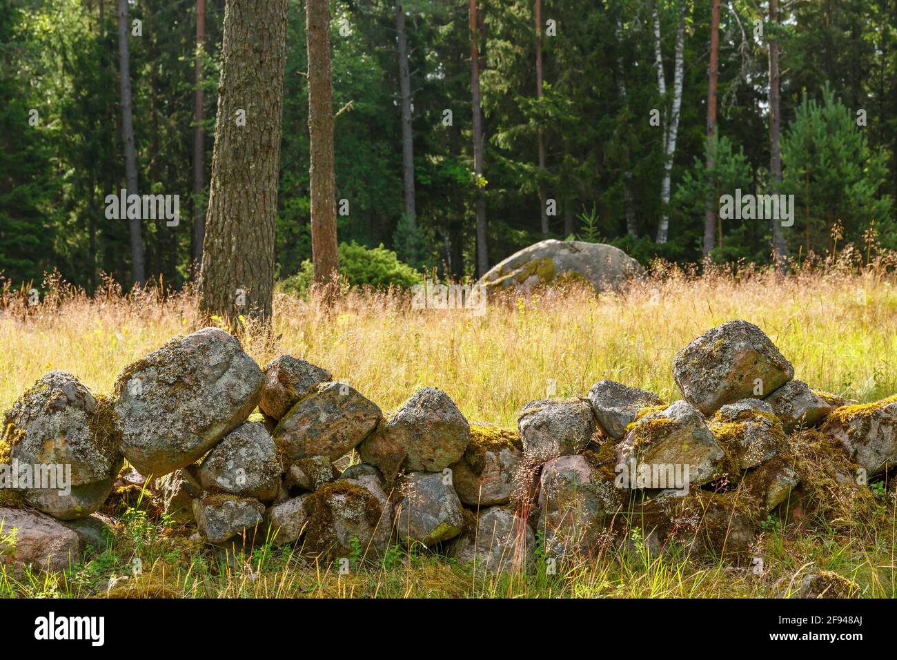Stone wall on grass meadow in an old rural landscape Stock Photo - Alamy
