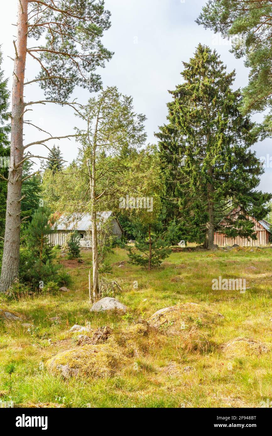 Abandoned farmhouse overgrown trees hi-res stock photography and images ...