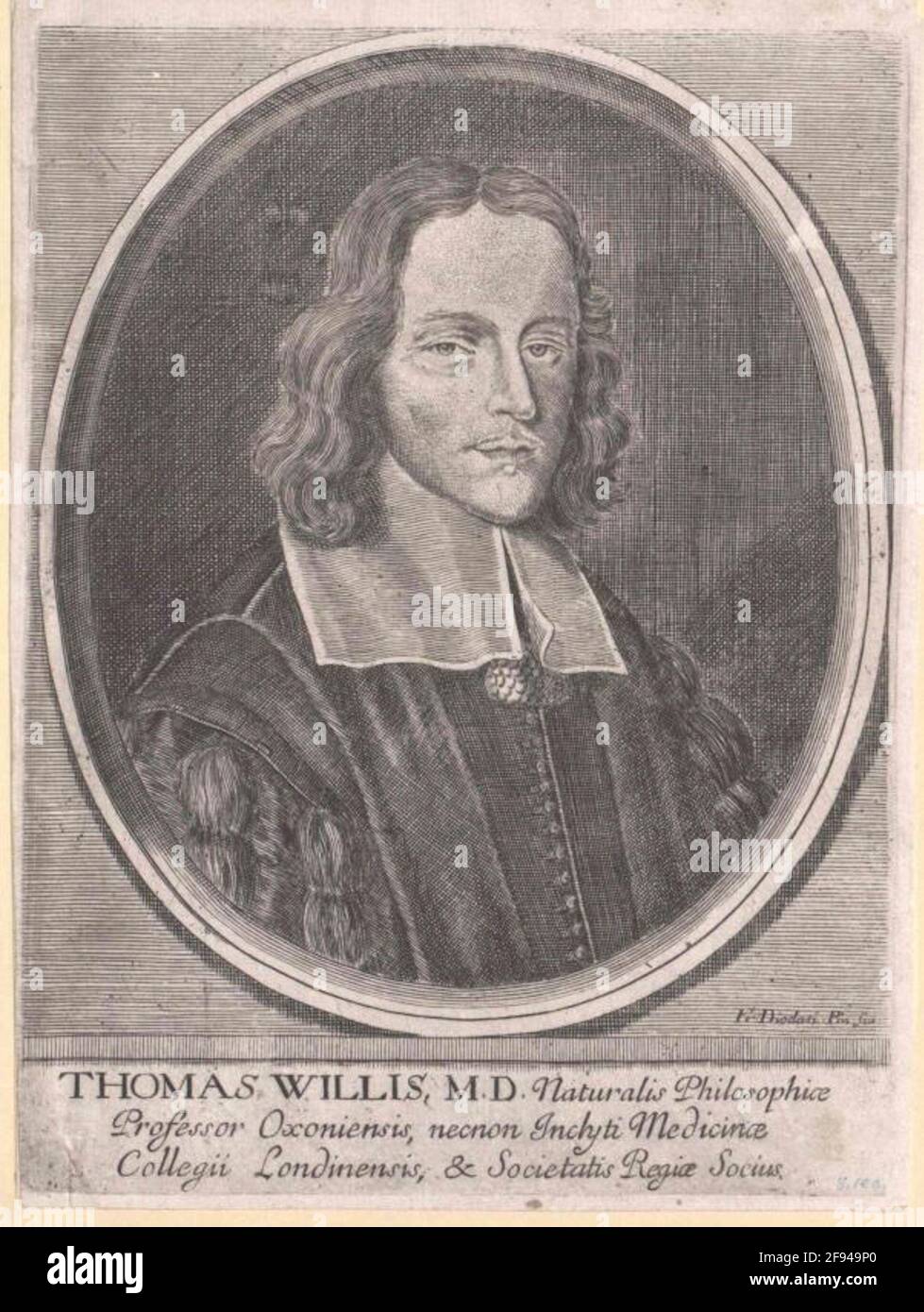 Thomas willis brain hi-res stock photography and images - Alamy