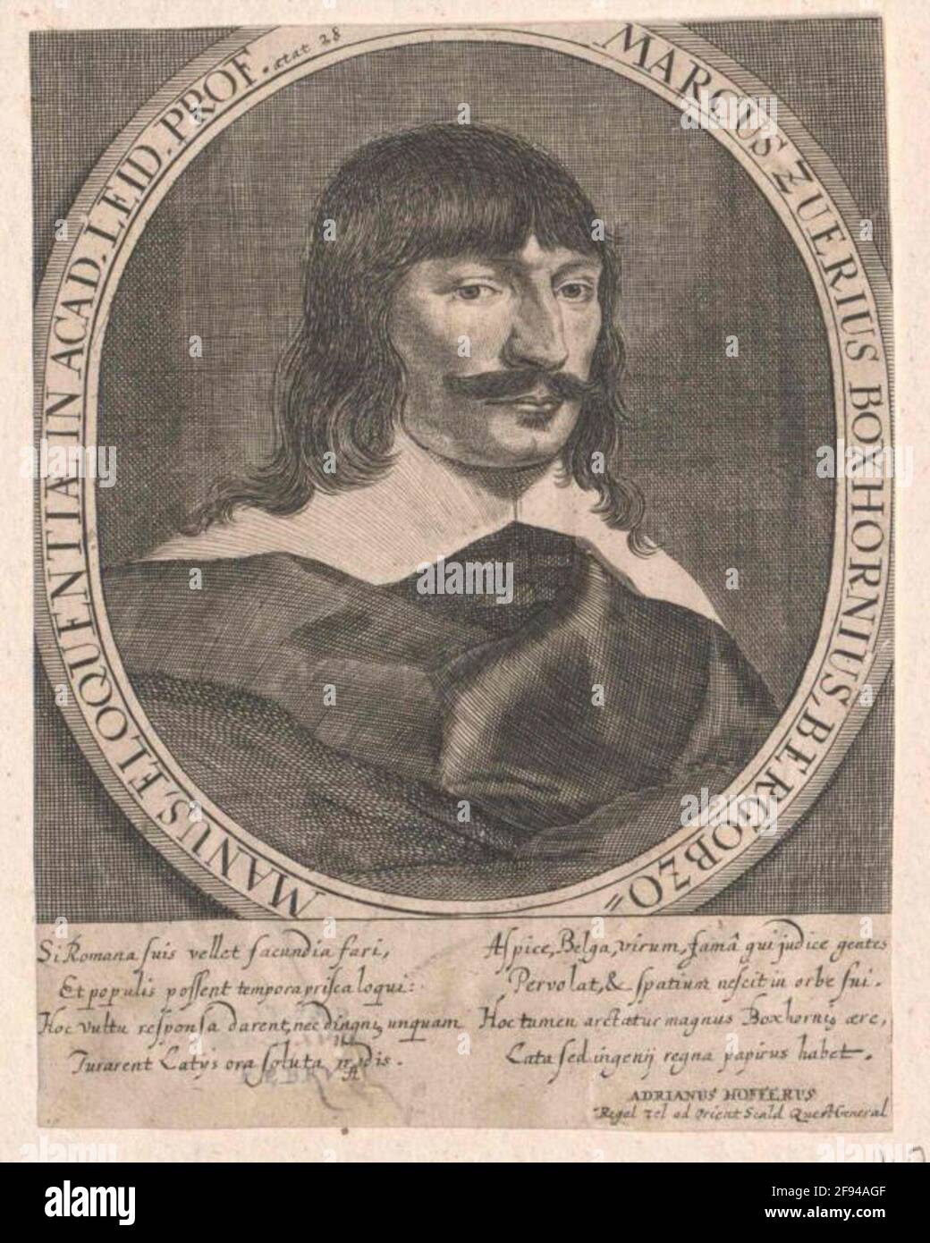 Boxhorn, Markus Suerius Stock Photo - Alamy