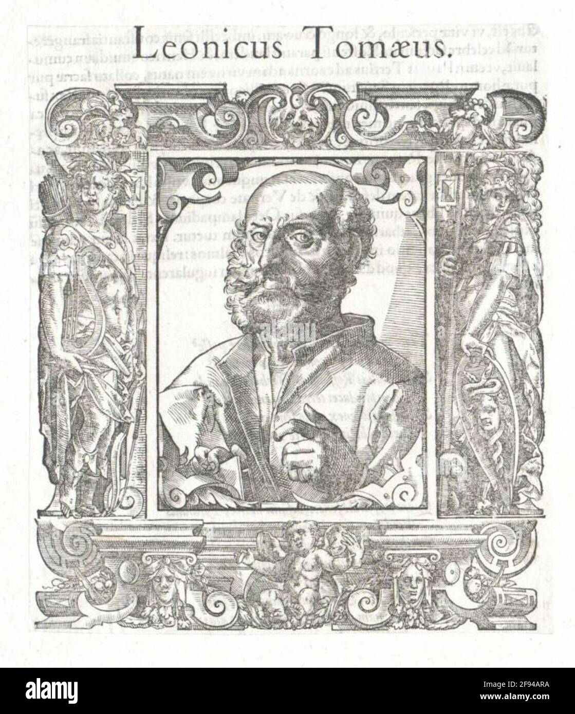 Tomeo hi-res stock photography and images - Alamy