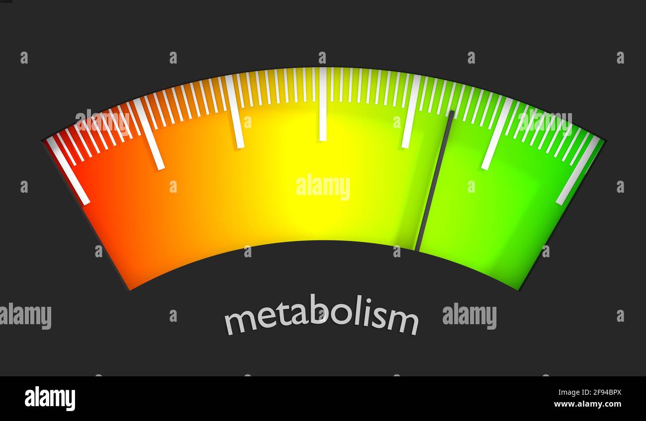 Metabolism level scale with arrow. The measuring device icon. Sign ...