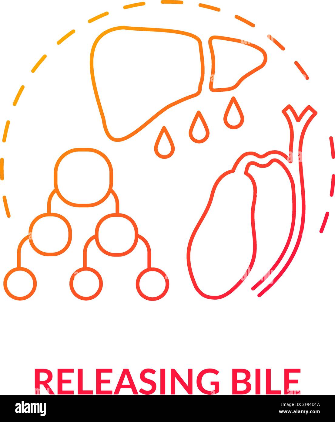 Releasing bile concept icon Stock Vector Image & Art - Alamy