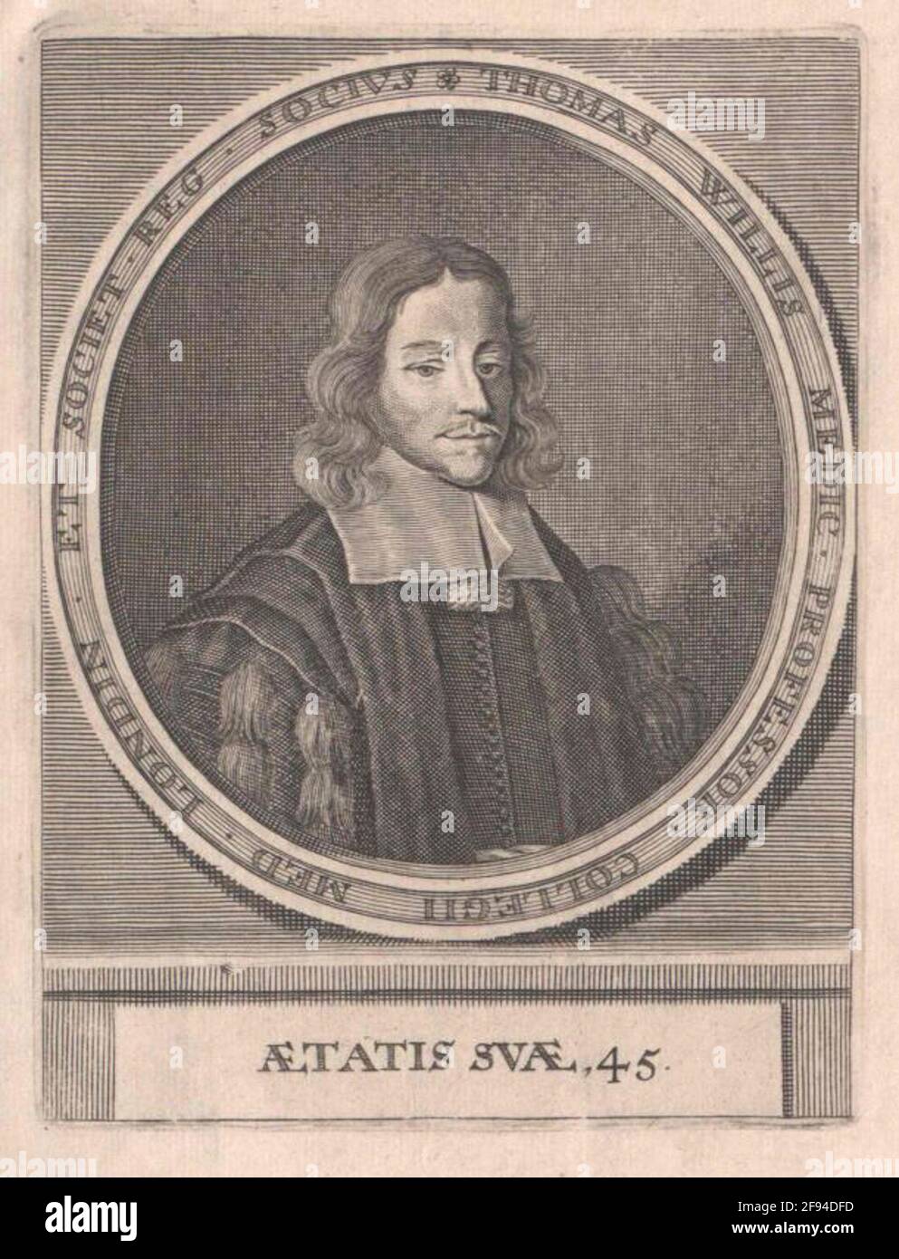 Thomas willis brain hi-res stock photography and images - Alamy