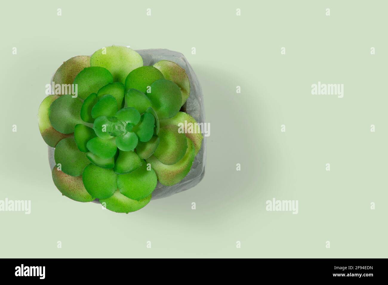 artificial ornament plant pot for table, seen from above, with space ...