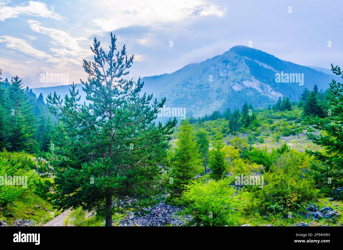 Rhodope mountains in Bulgaria Stock Photo - Alamy