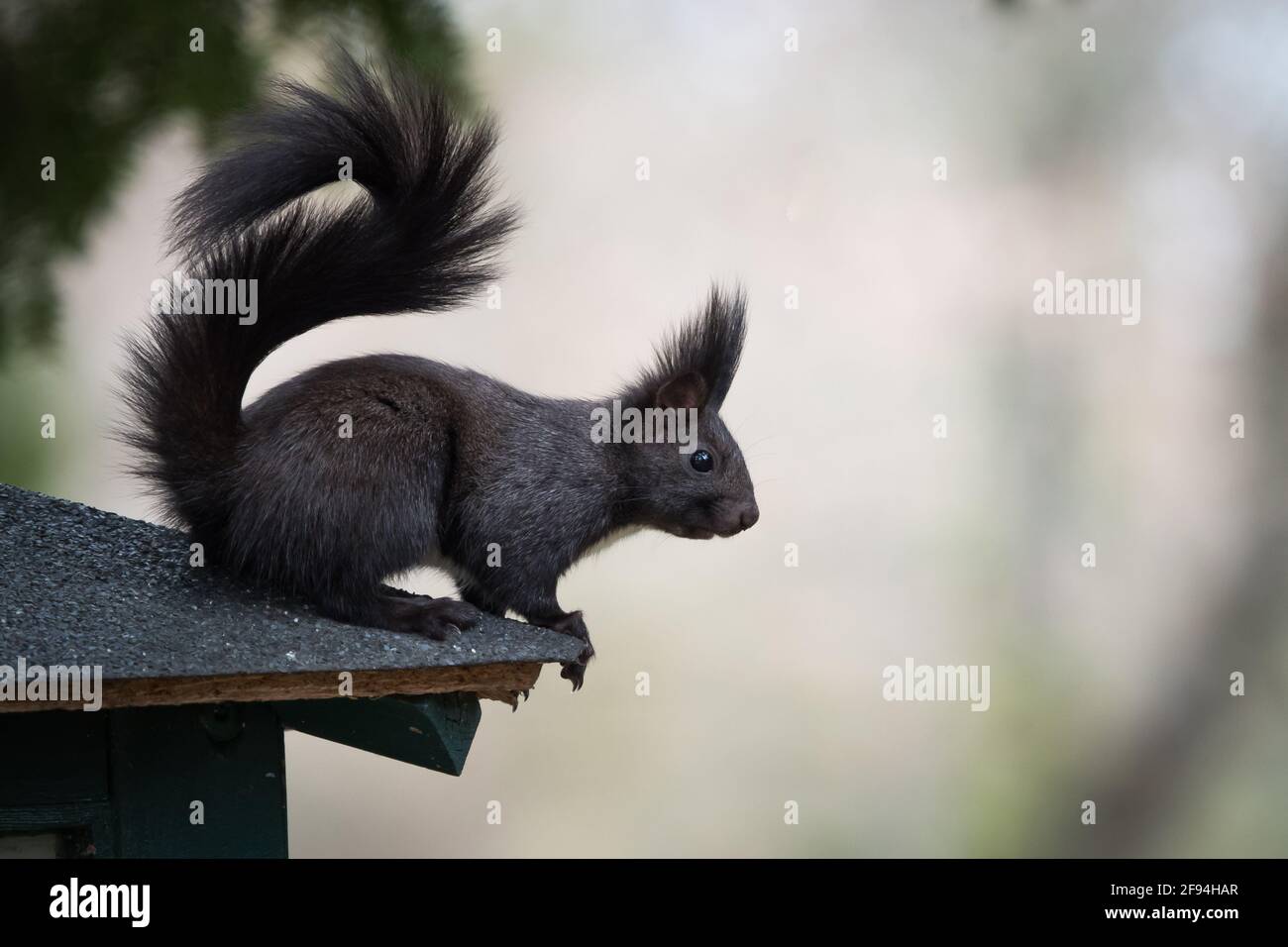 Looking around a corner hi-res stock photography and images - Alamy