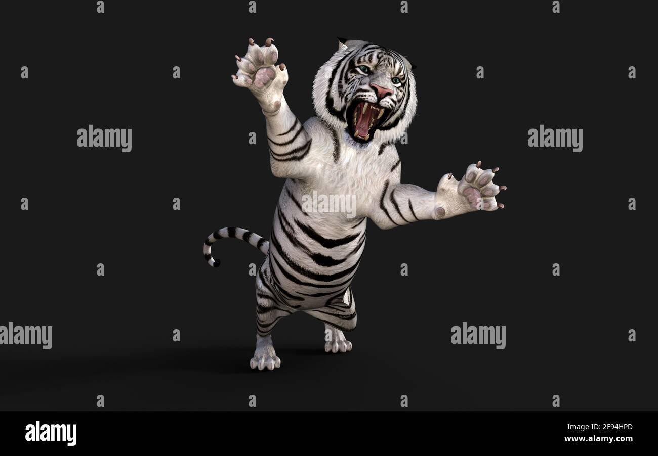 White Tiger Albino Isolated on Dark Background with Clipping Path. 3d ...