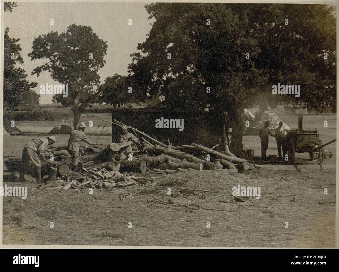 Process position, Turks in wood shredding Stock Photo - Alamy