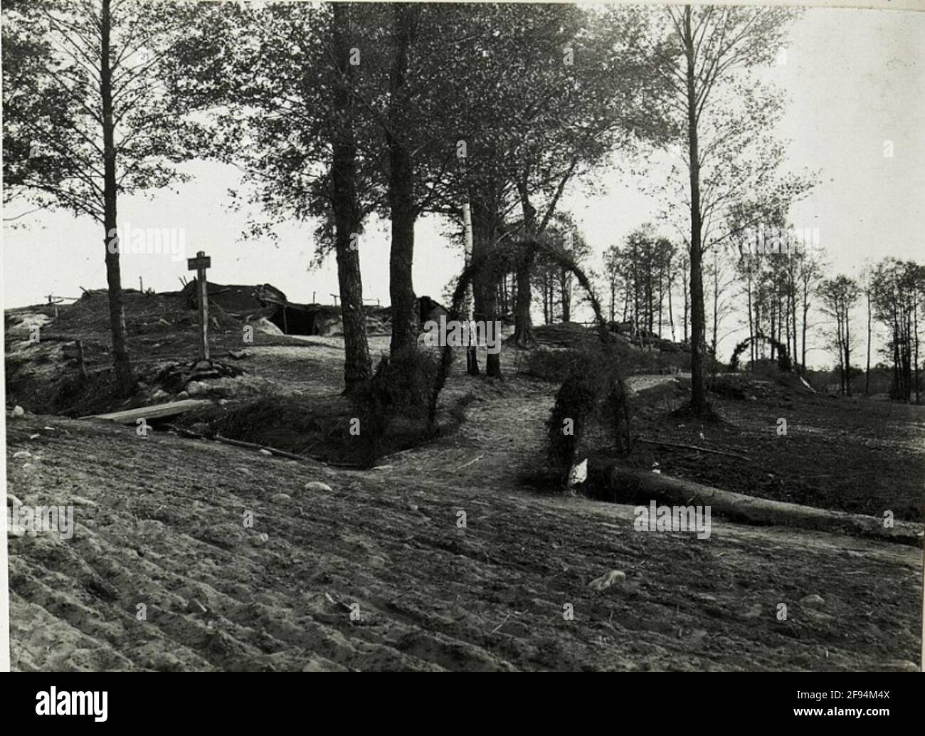 Own rest positions in the forest eastern Bratko Stock Photo - Alamy