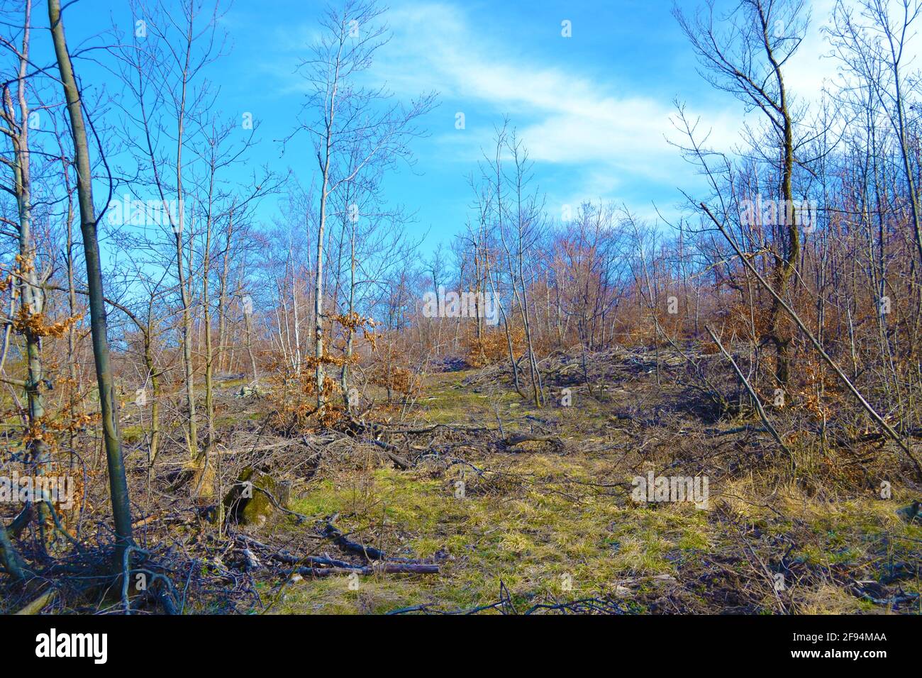 Deli jovan mountain hi-res stock photography and images - Alamy