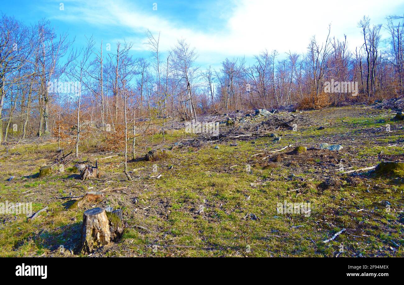 Deli jovan mountain hi-res stock photography and images - Alamy