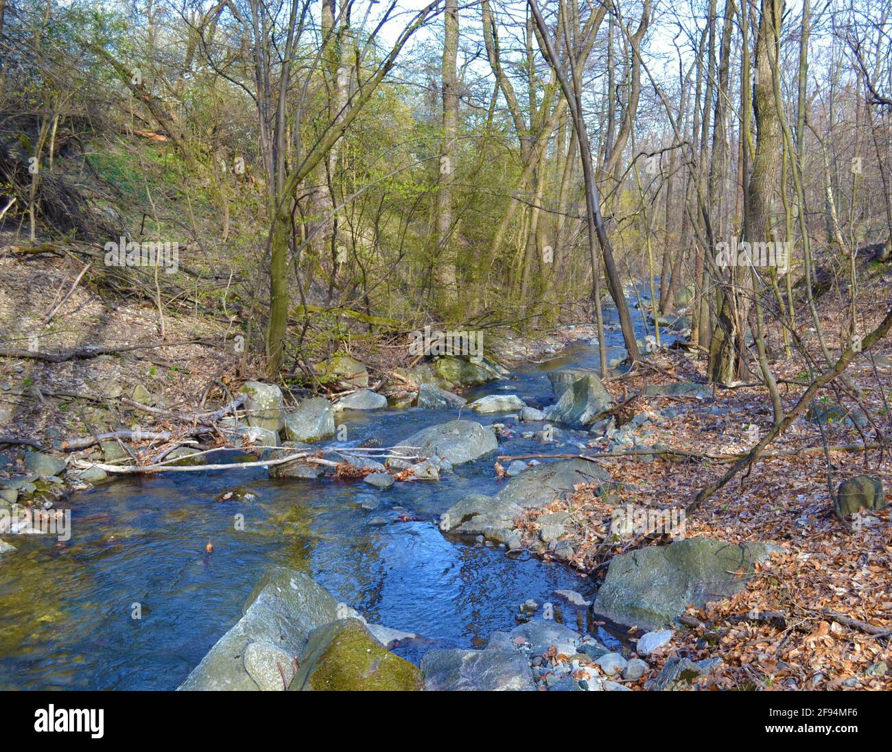 Deli jovan mountain hi-res stock photography and images - Alamy