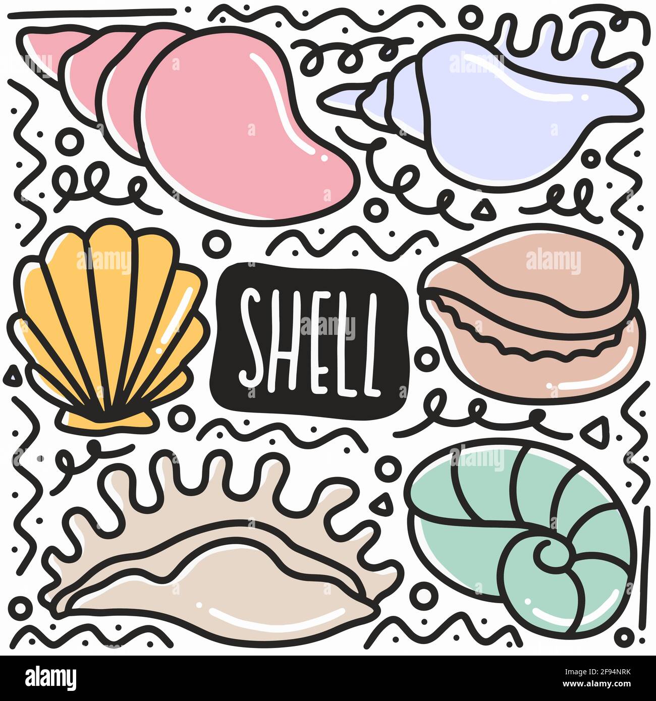 hand drawn shells doodle set Stock Vector Image & Art - Alamy