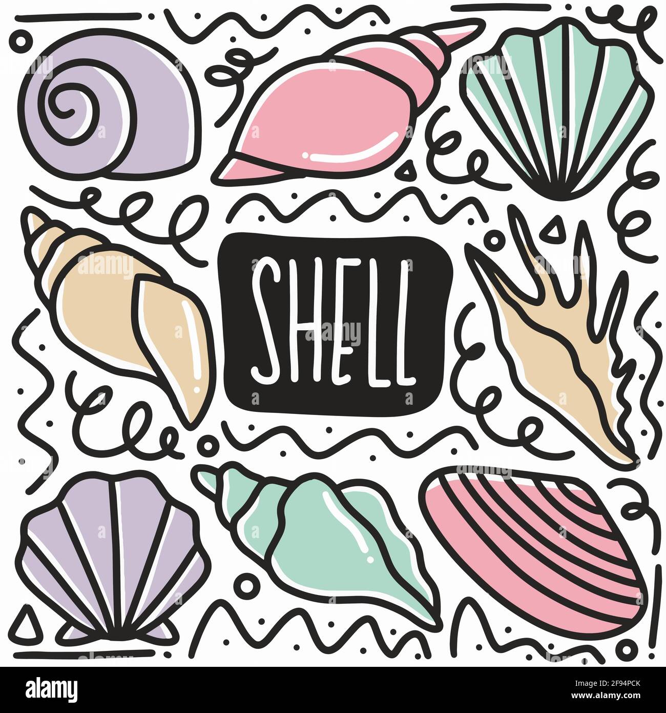 hand drawn shells doodle set Stock Vector Image & Art - Alamy