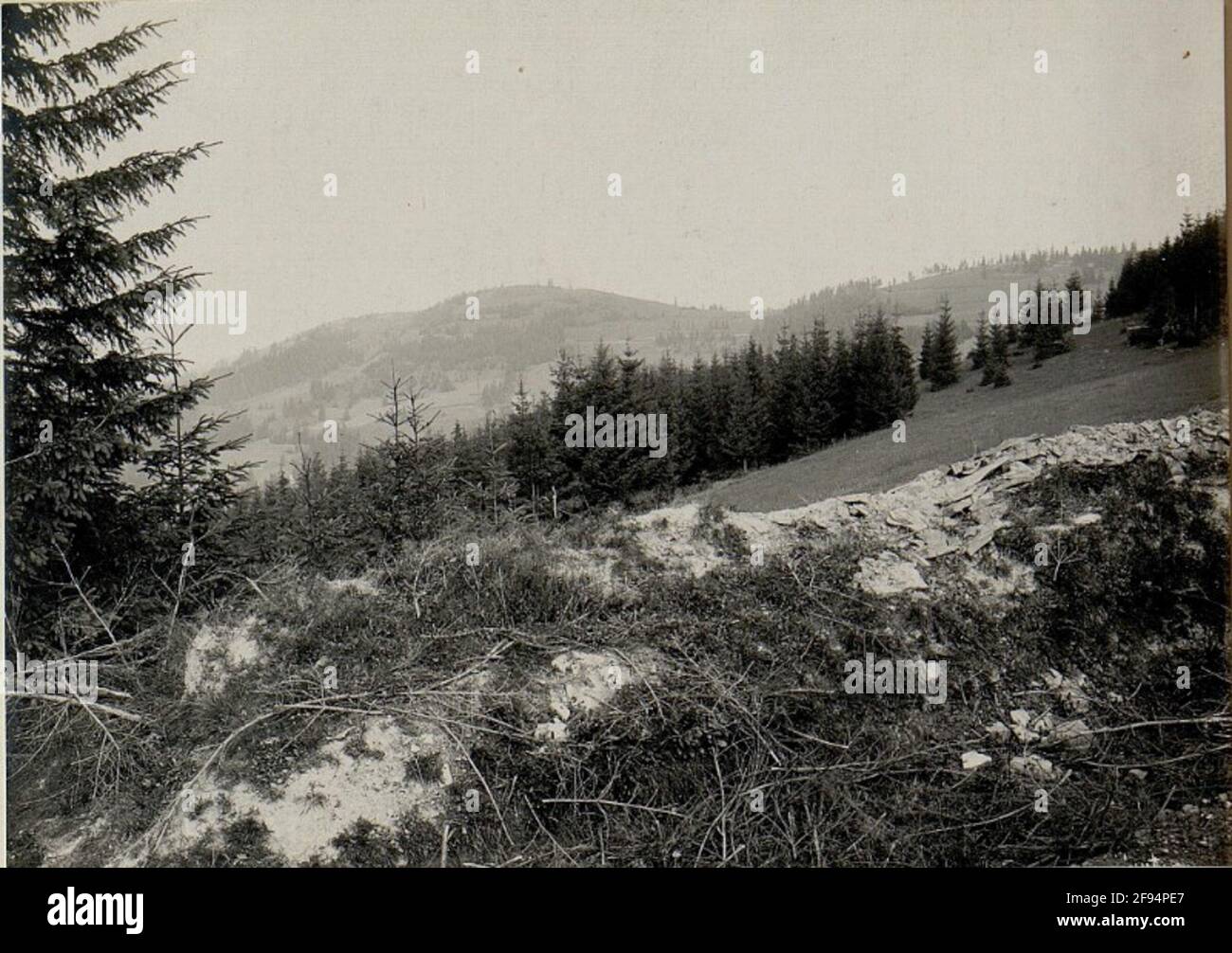 Bykow hi-res stock photography and images - Alamy