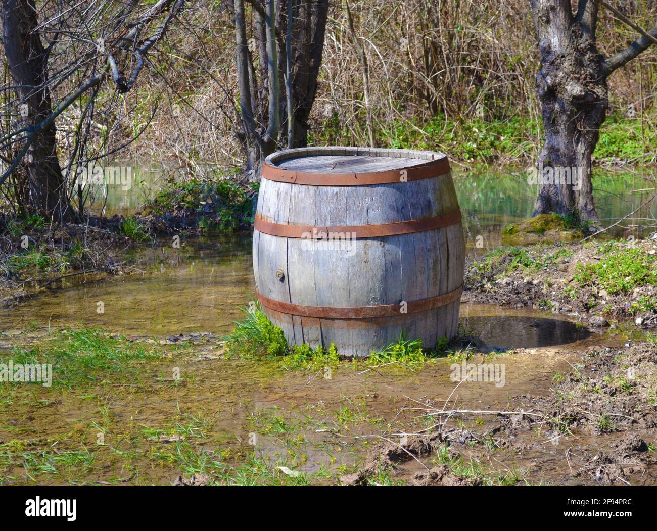 Wine barrel surrounded hi-res stock photography and images - Alamy