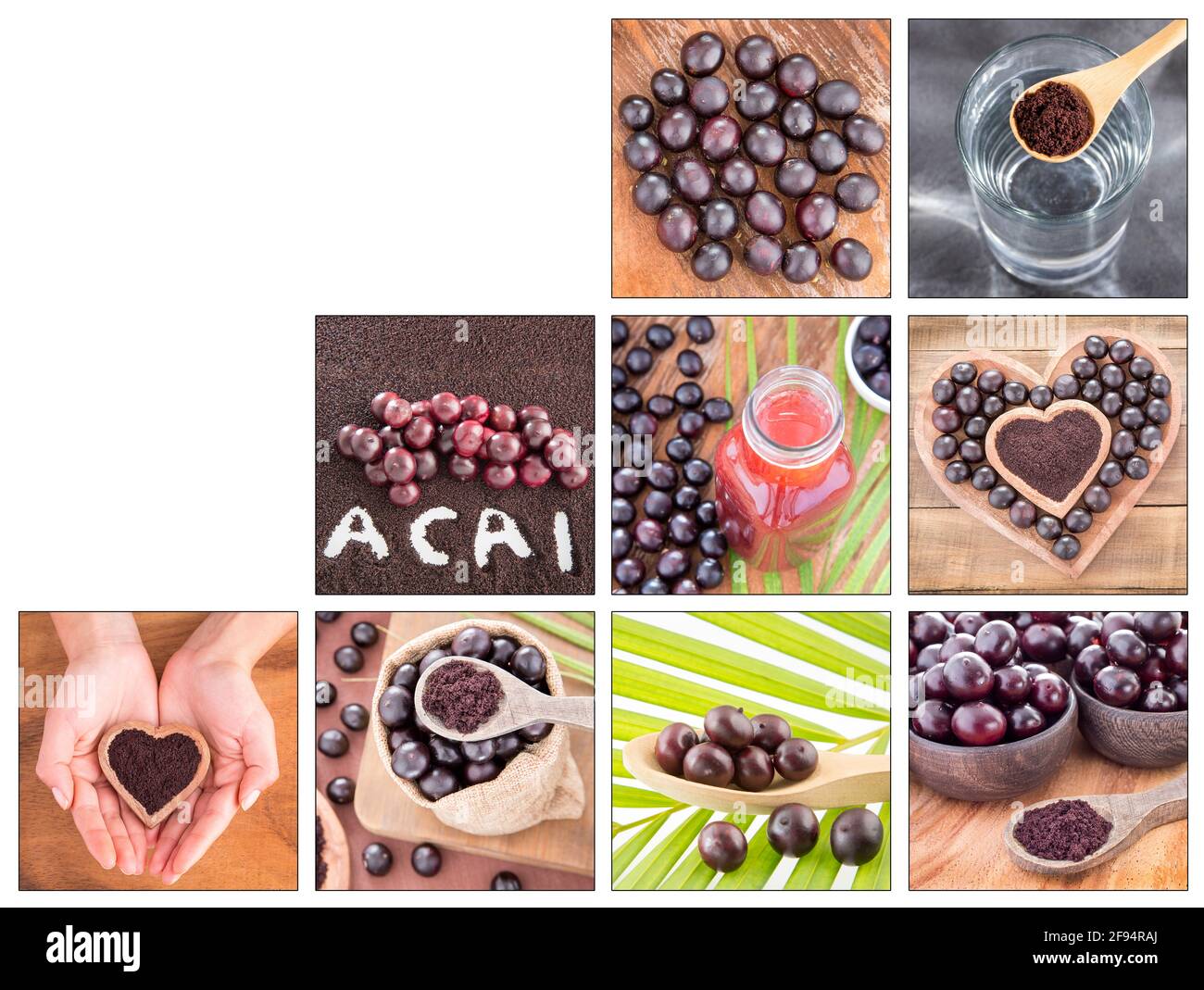 Botany images Cut Out Stock Images & Pictures - Alamy