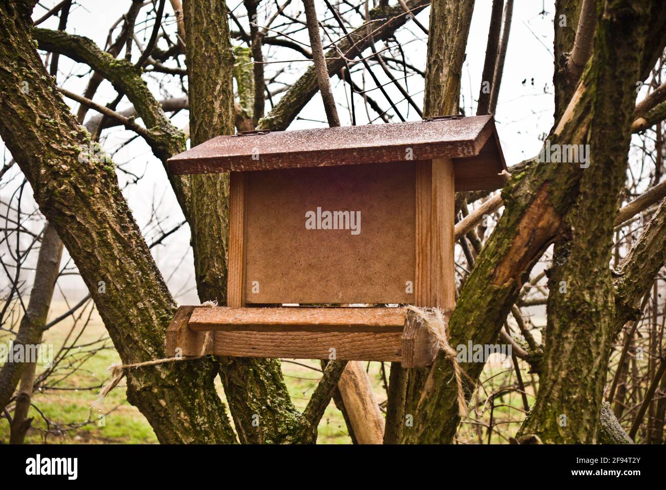 Bird On Birdhouse High Resolution Stock Photography and Images - Alamy