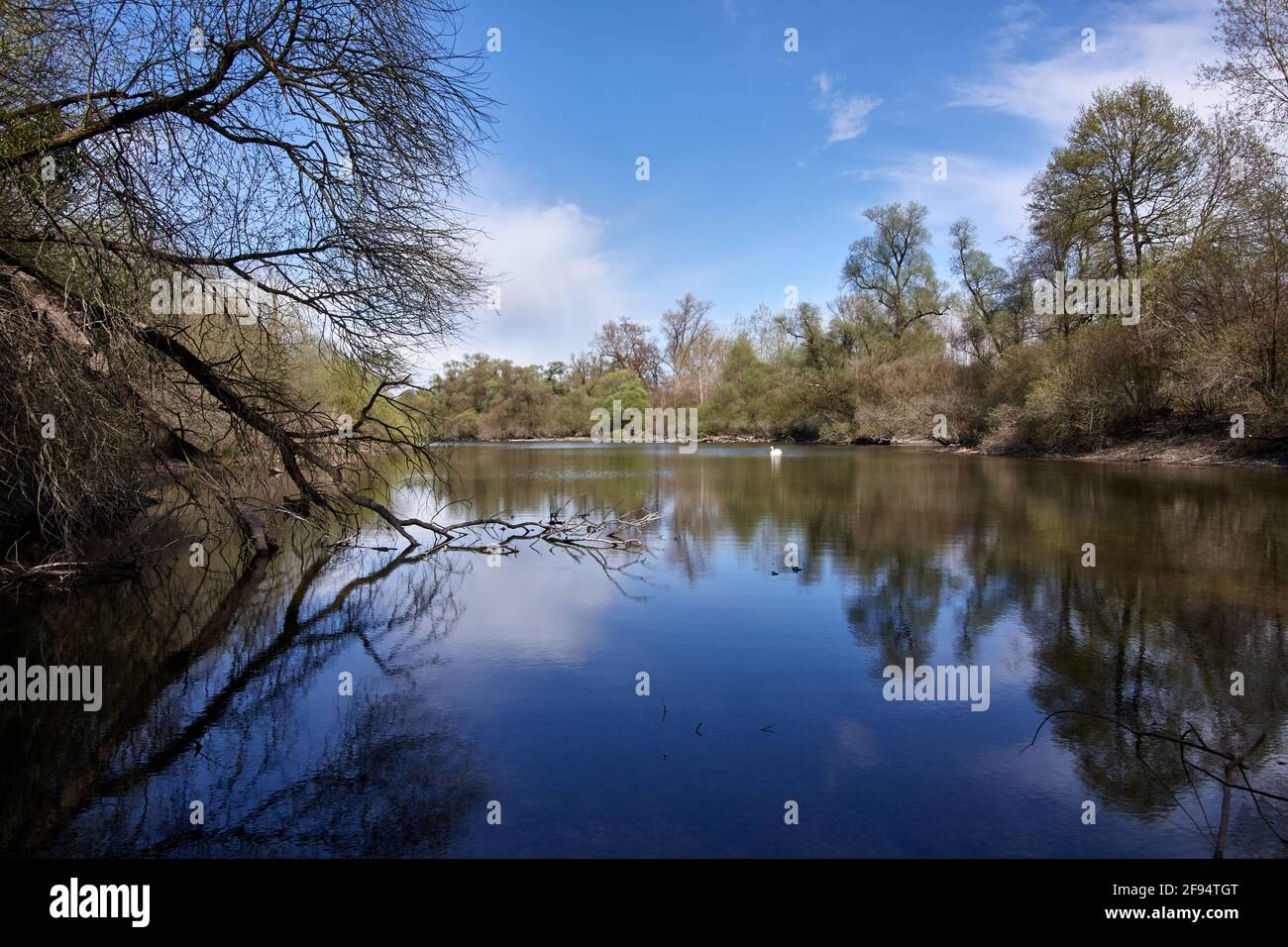 Unspoiled riparian environment hi-res stock photography and images - Alamy