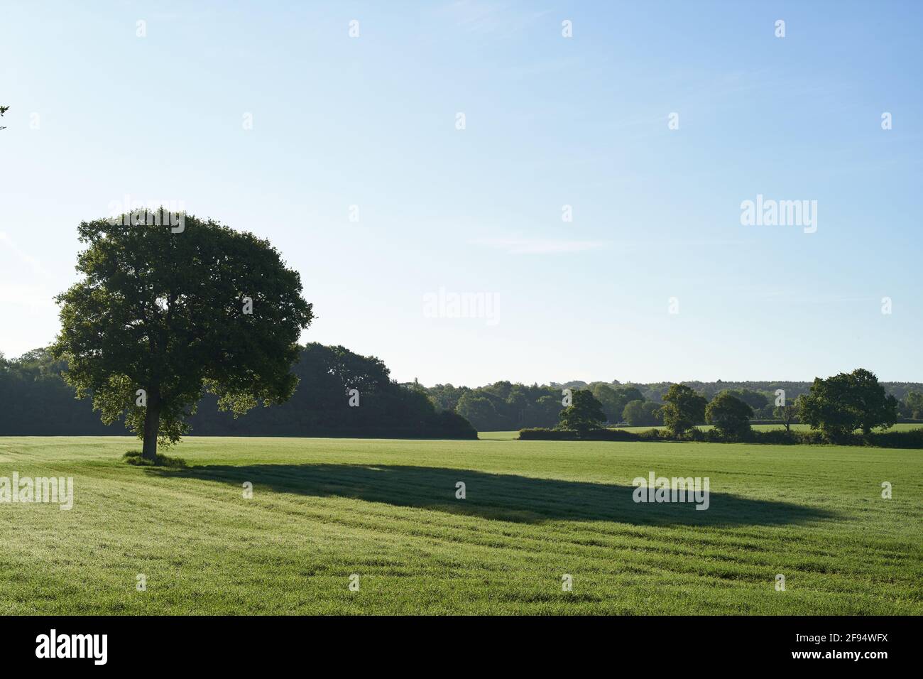 Farmland north of Horsham in West Sussex owned by Legal and General ...