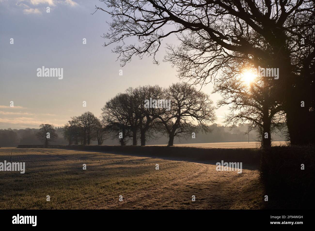Farmland north of Horsham in West Sussex owned by Legal and General ...