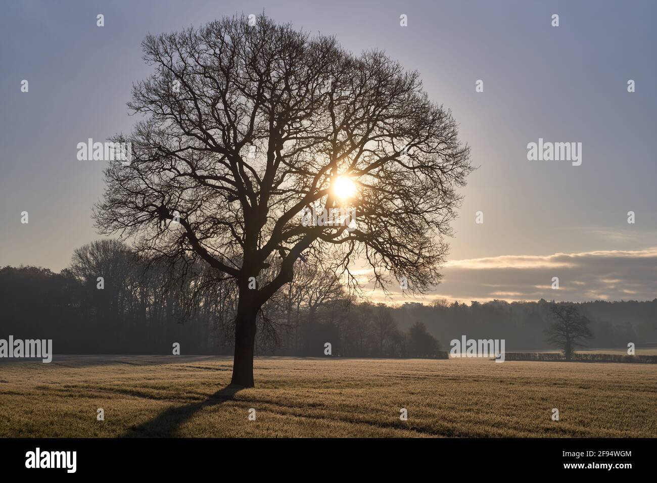 Farmland north of Horsham in West Sussex owned by Legal and General ...
