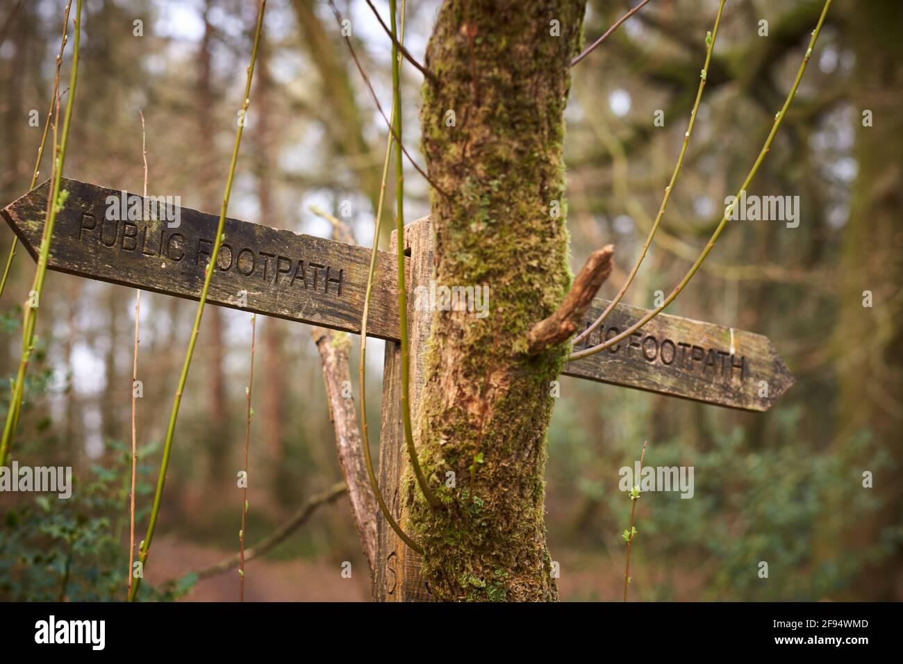 Country walk signs hi-res stock photography and images - Alamy