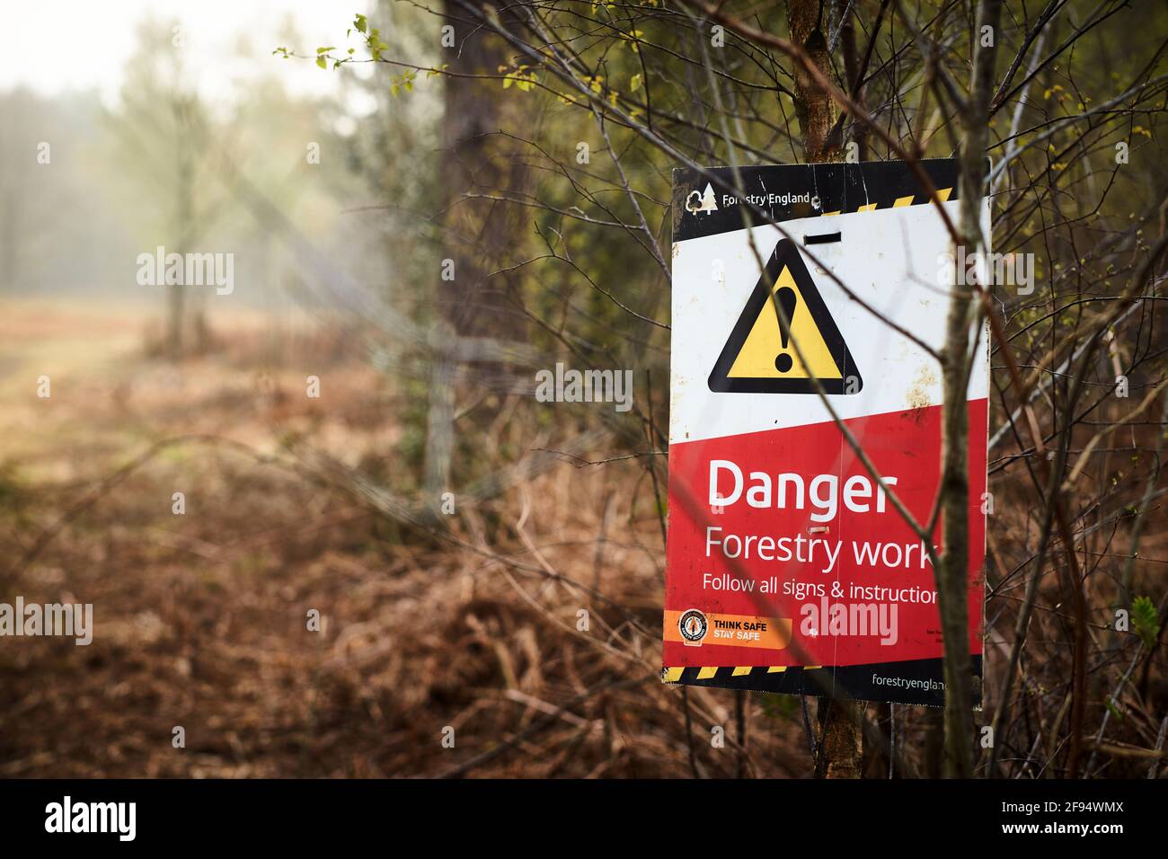 Forestry work warning signs Stock Photo - Alamy